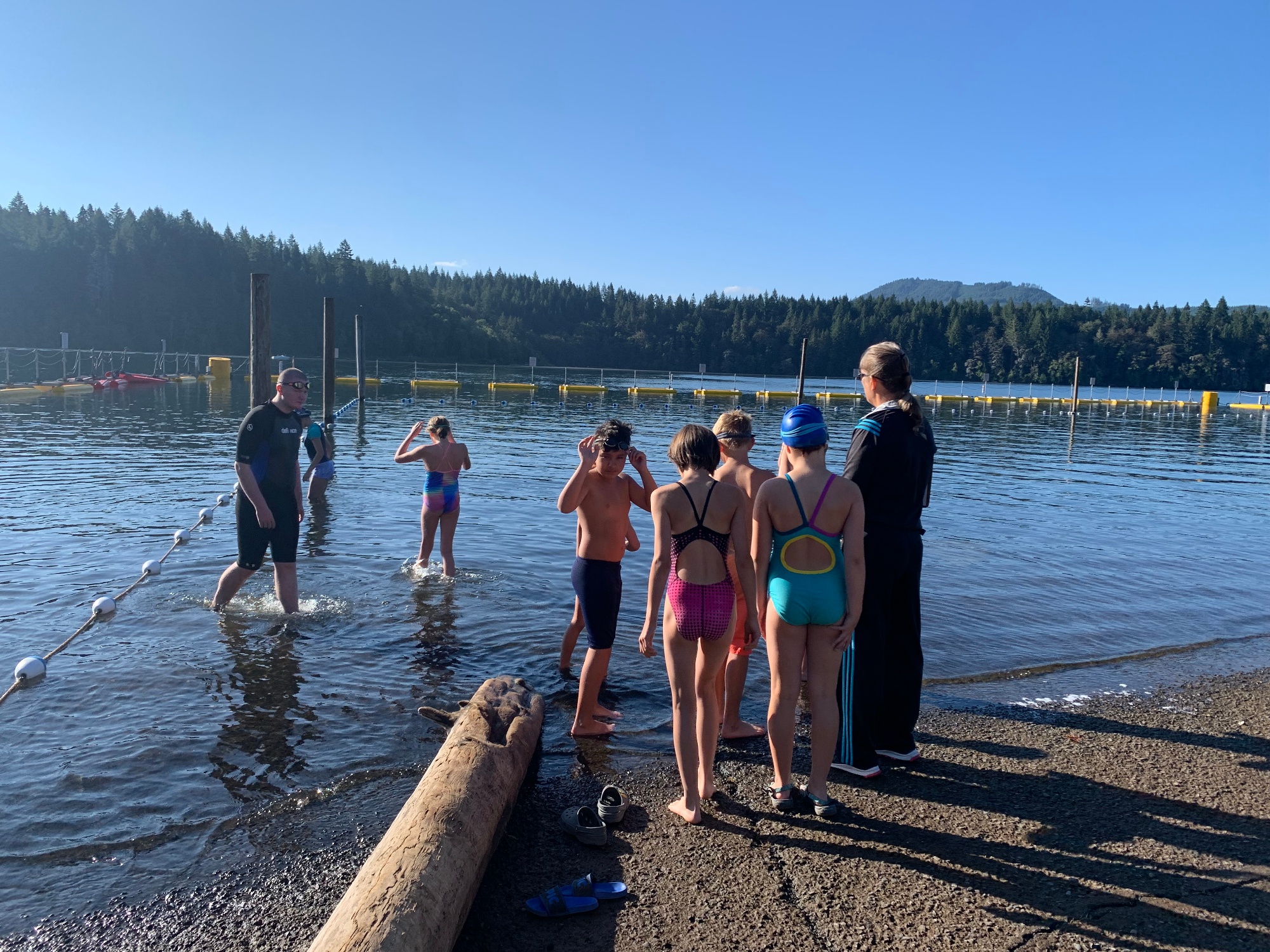 Albany Aquatics Assoc Home