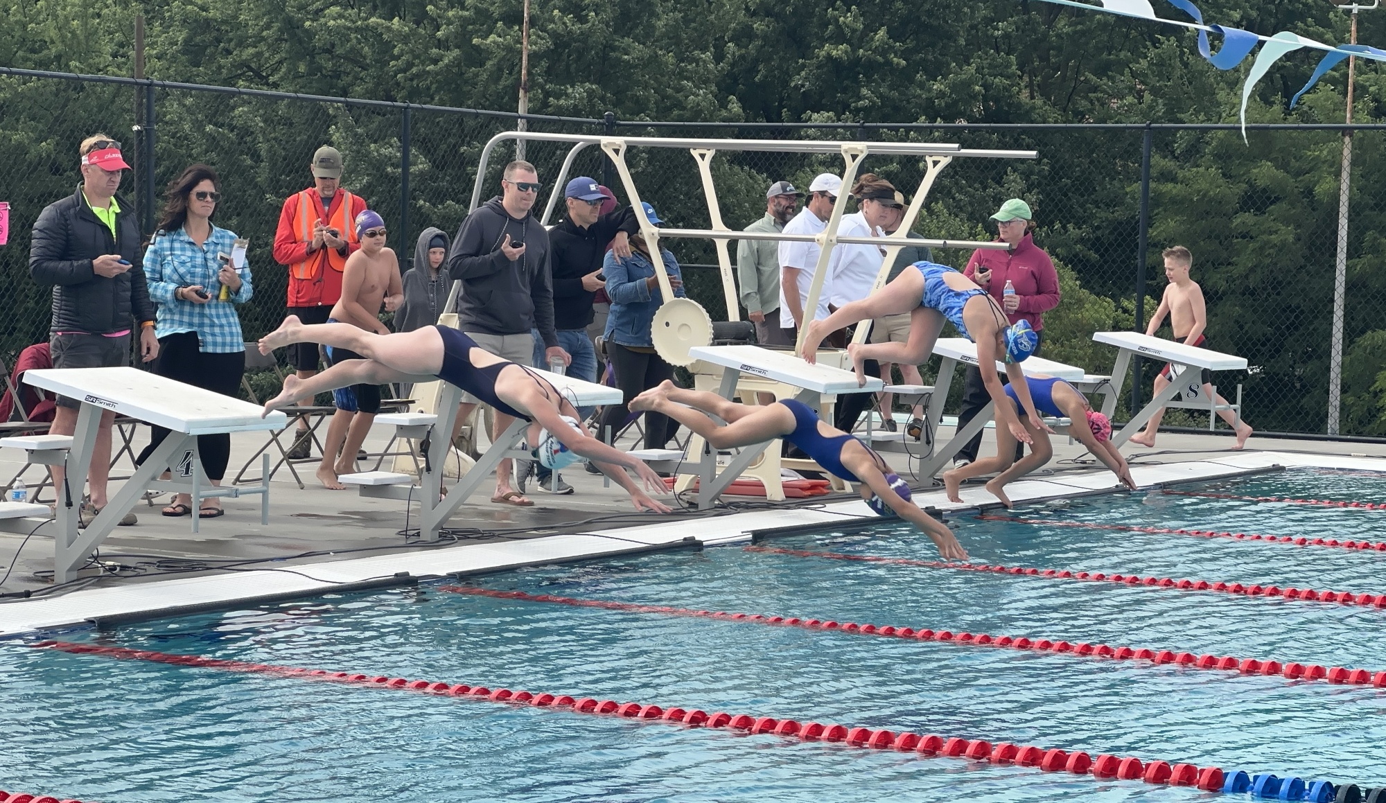 Albany Aquatics Assoc Home